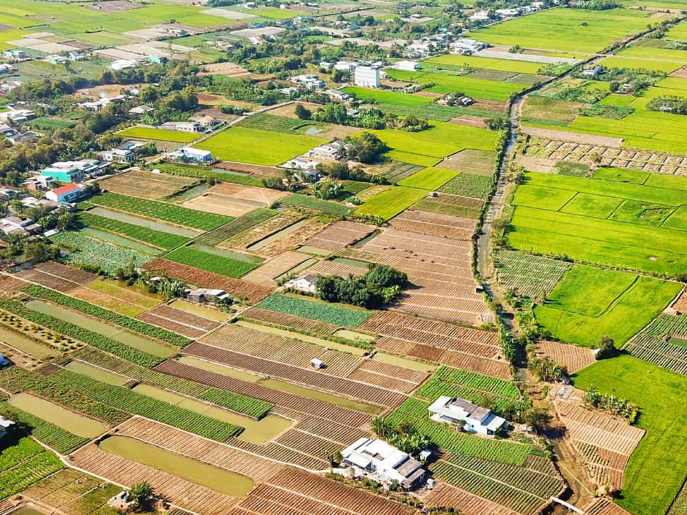 Everything Buyers Need To Know About Patta Land